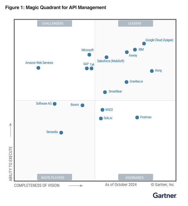 Gartner 2024 Magic Quadrant API Management Report - Amrut Software
